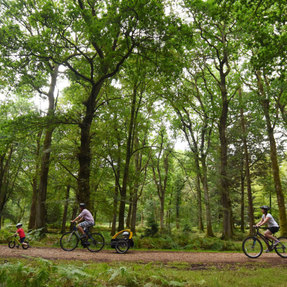 The New Forest National Park // New Forest Coast