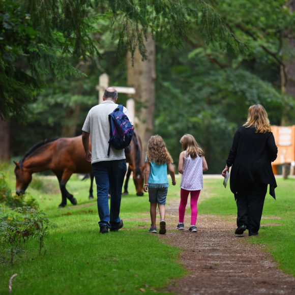 The New Forest National Park // New Forest Coast