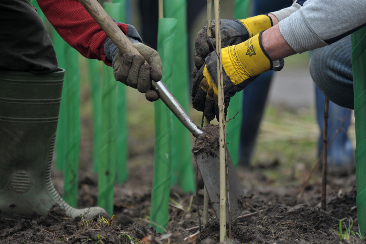 Green Recovery // National Park Sustainability