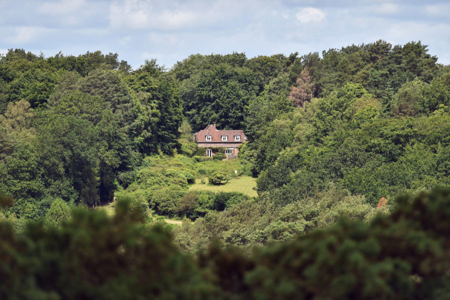 The New Forest National Park // New Forest Coast