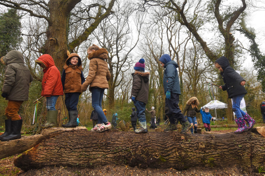 The New Forest National Park // New Forest Coast