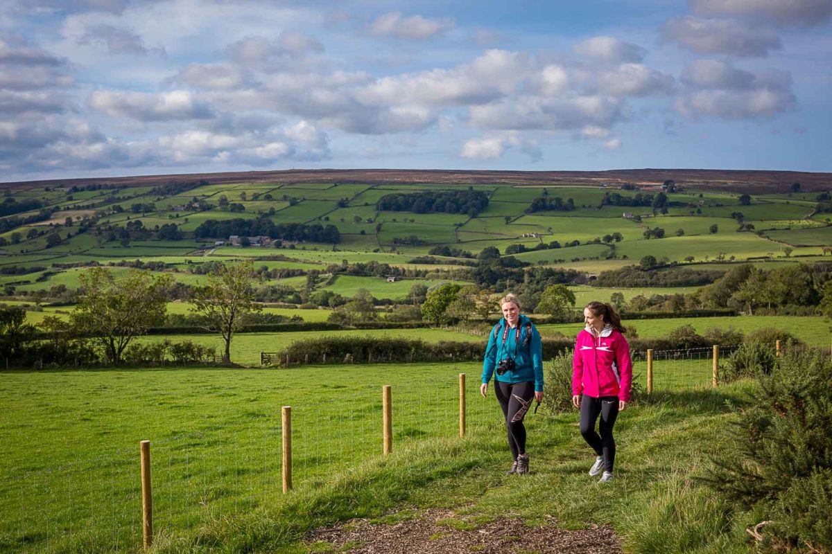 North York Moors National Park // The North York Moors