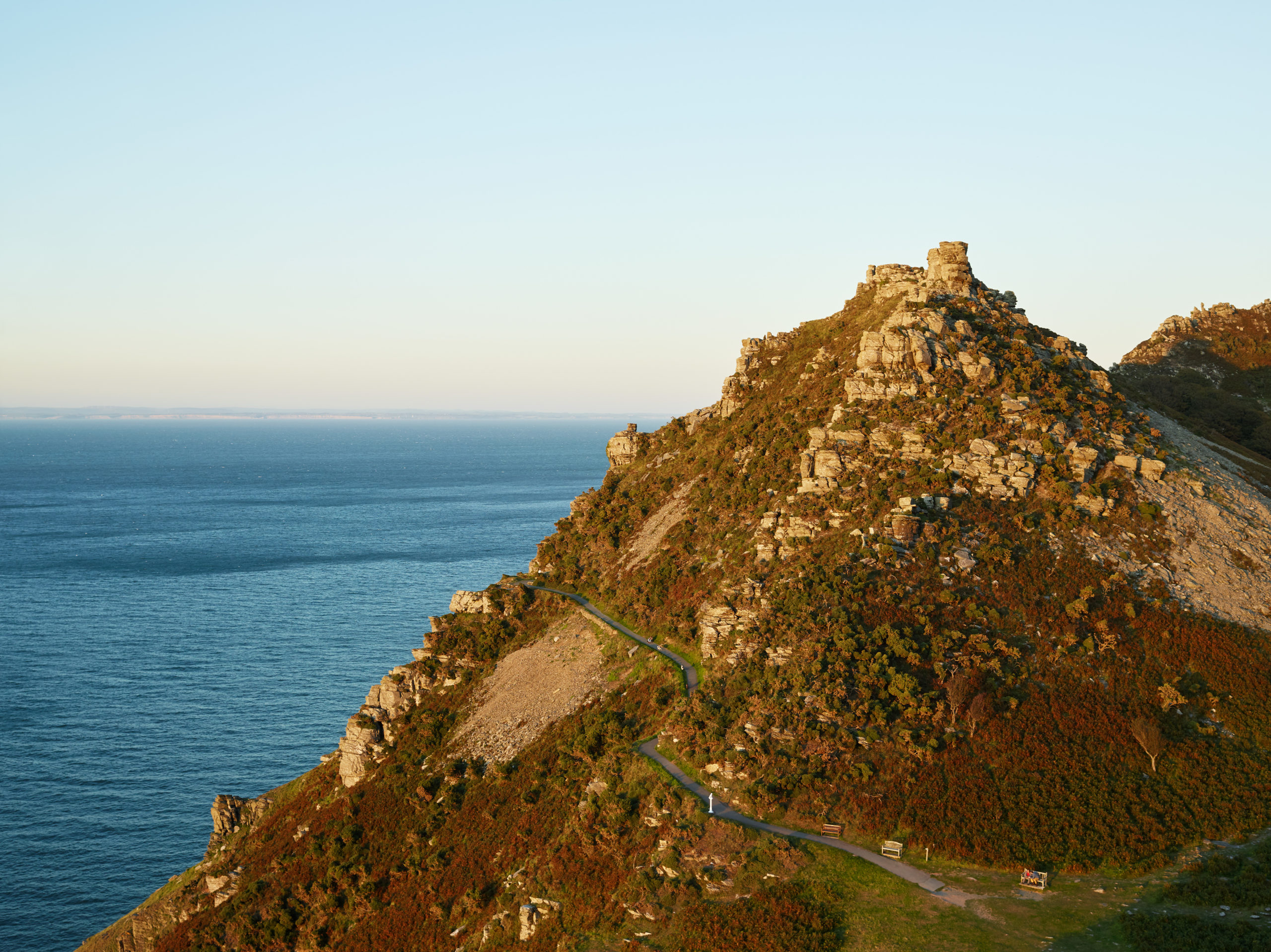 Look Wild: Wildflowers on Exmoor - National Parks