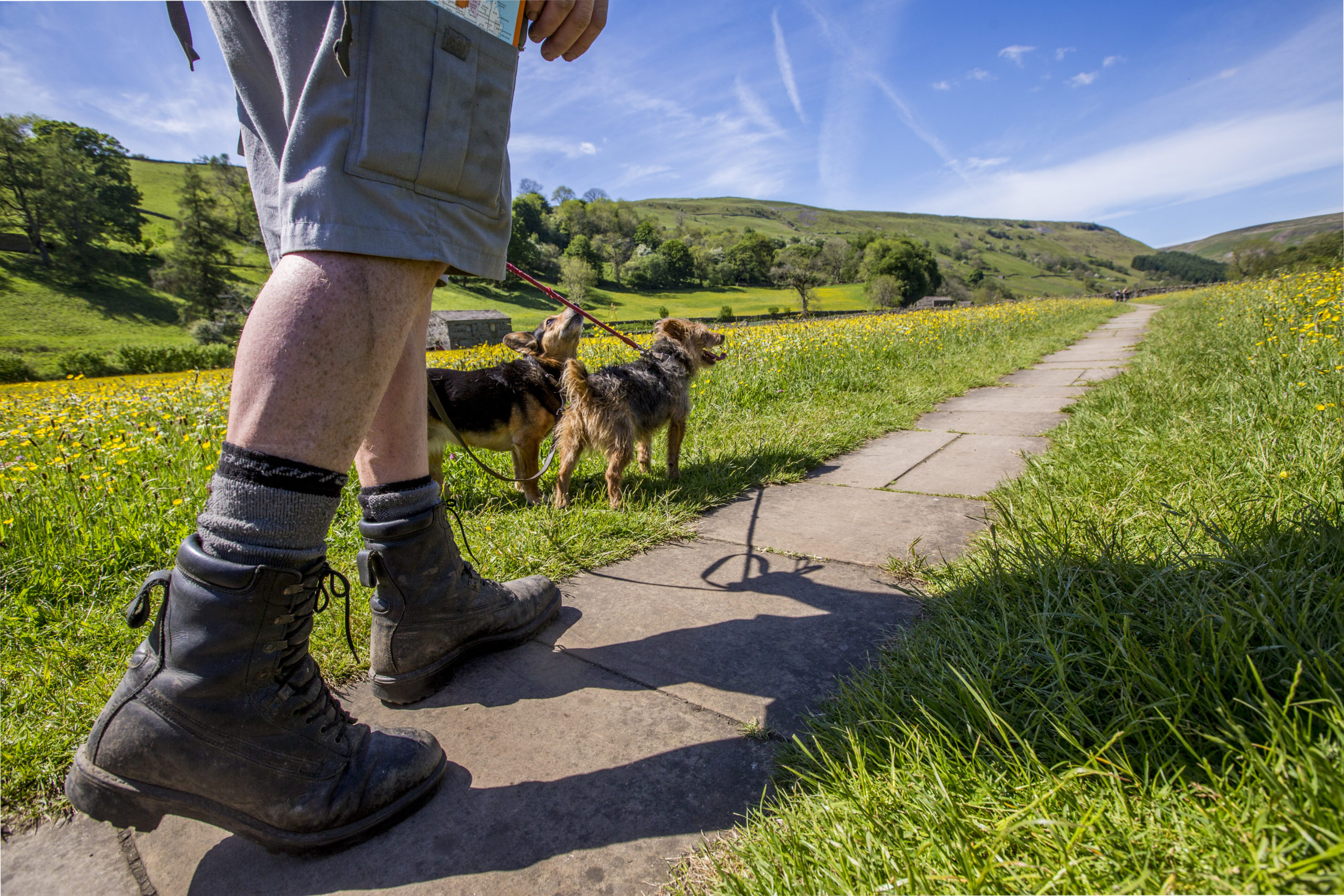 Walking your dog in National Parks - National Parks