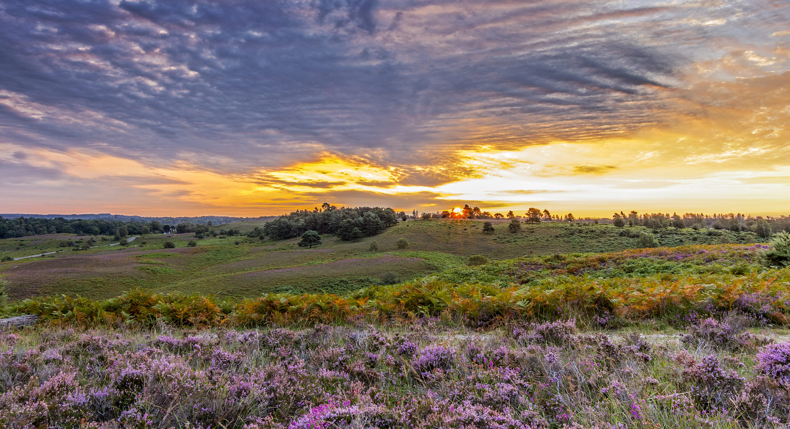 Discover National Parks Fortnight; ‘Do Something New & Share your Story ...