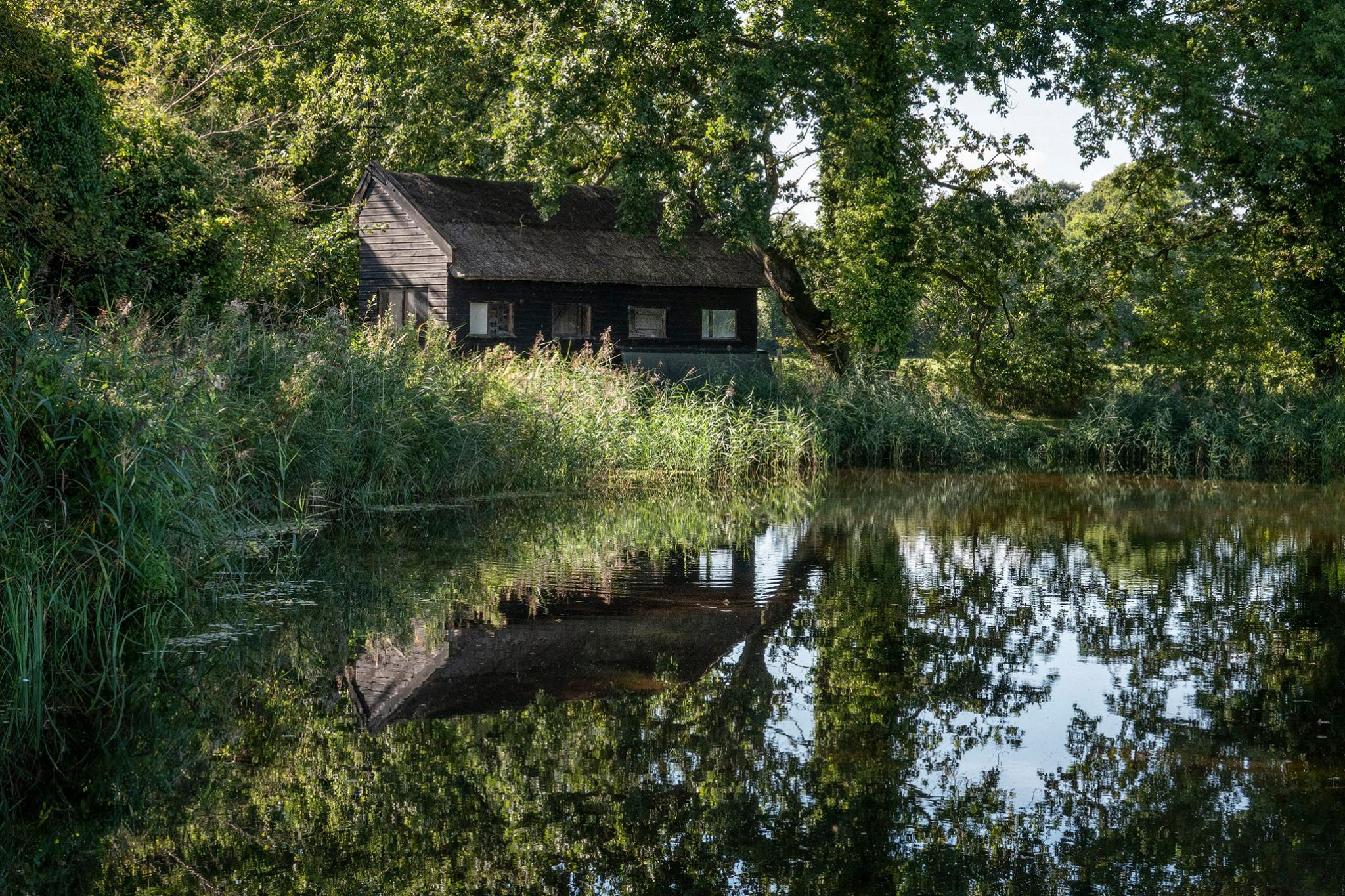 Discovering: Wheatfen Nature Reserve - National Parks