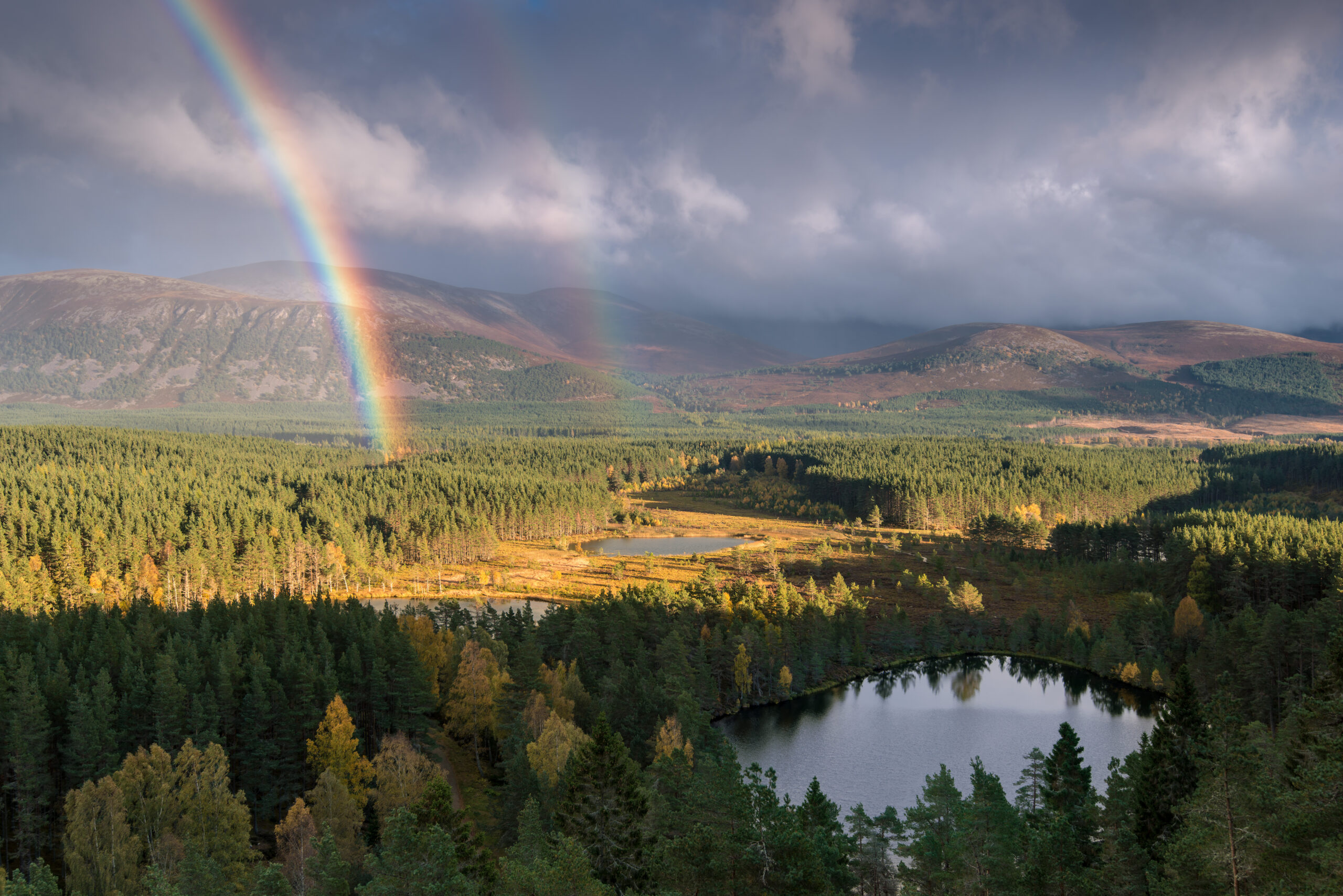 Press Release - Protected and Conserved Areas Around the World Sign ...