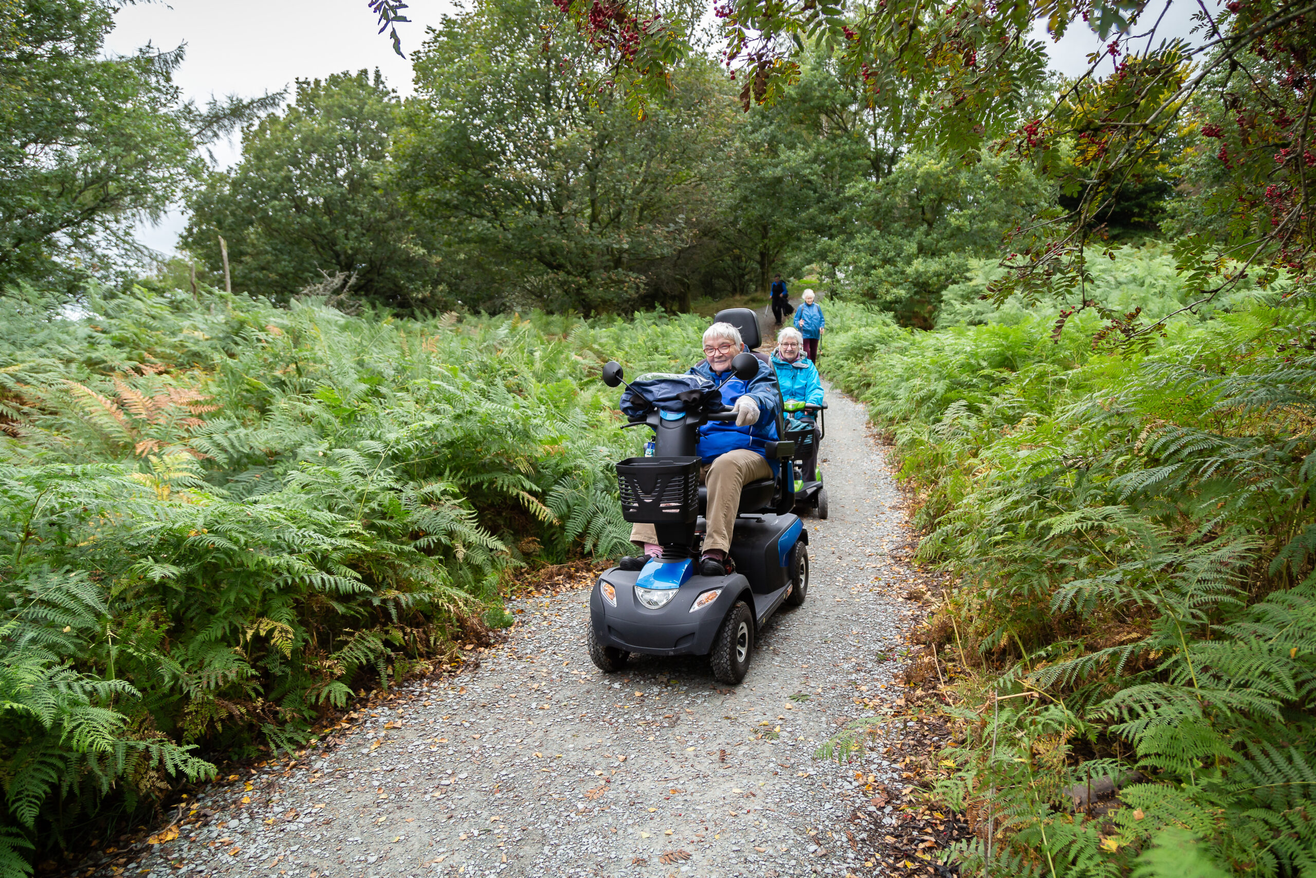 Discover: Orrest Head - National Parks