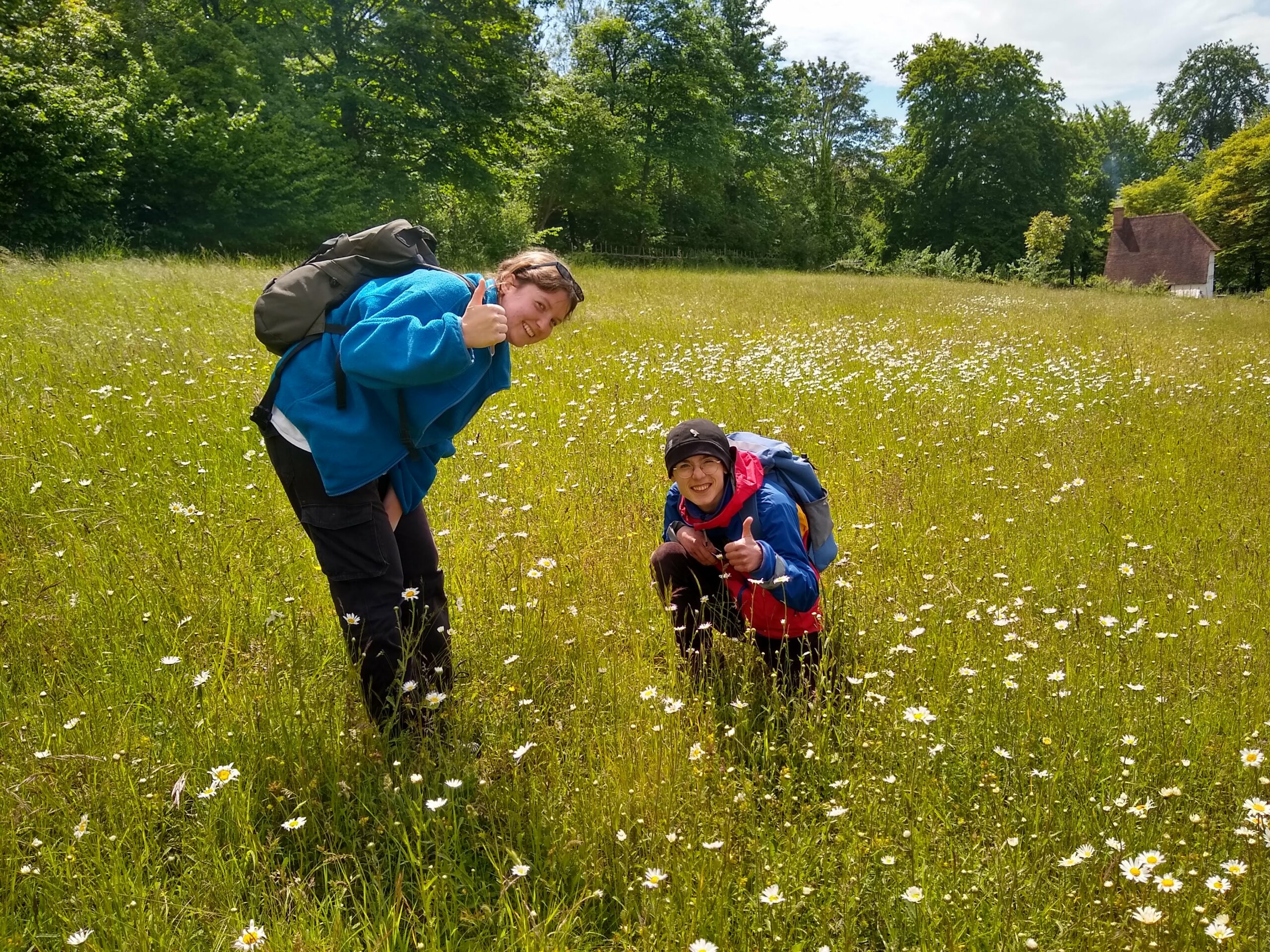 Look Wild: Young people use iNaturalist to support open-air museums ...