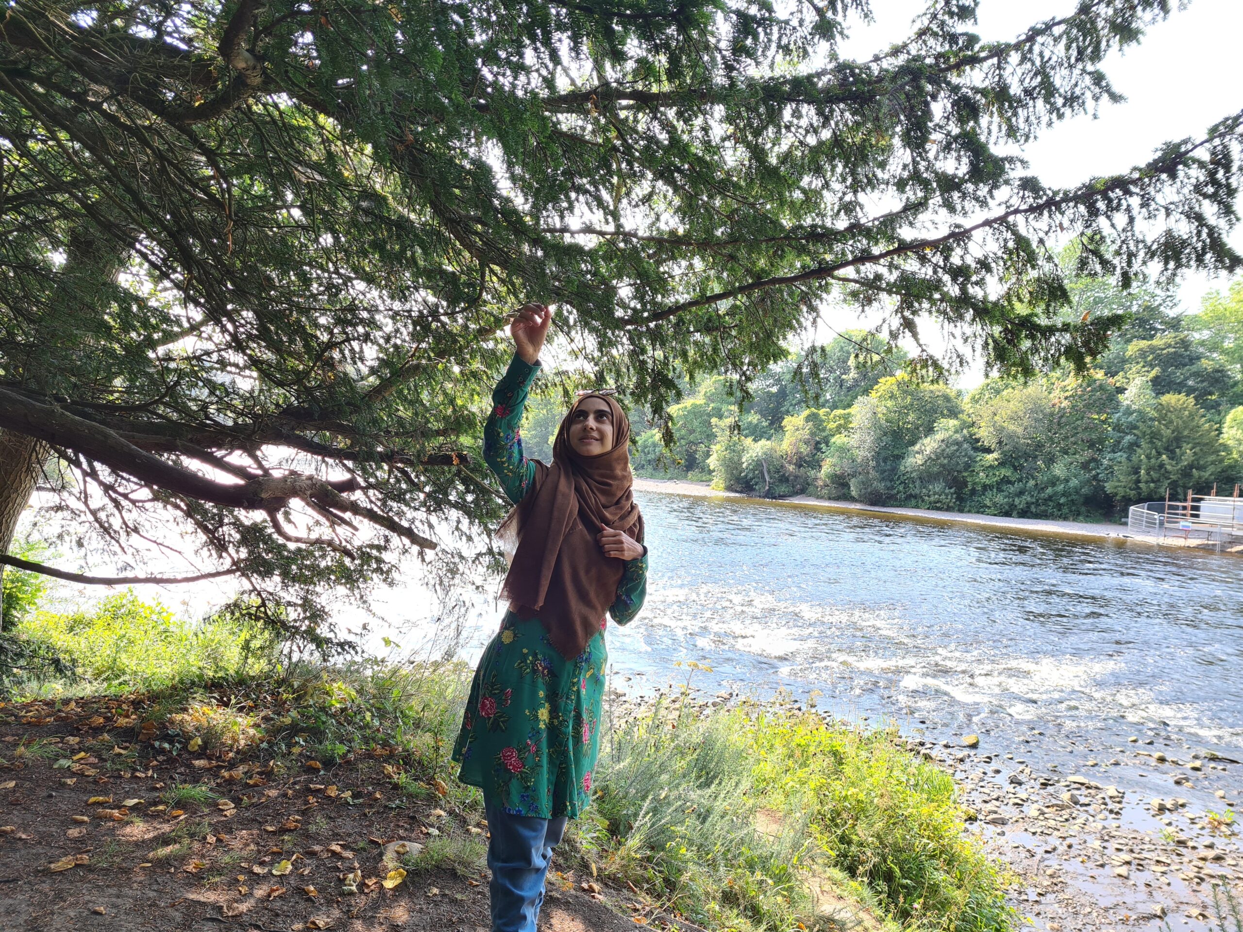 Inspired by nature: Haleema Ali - National Parks
