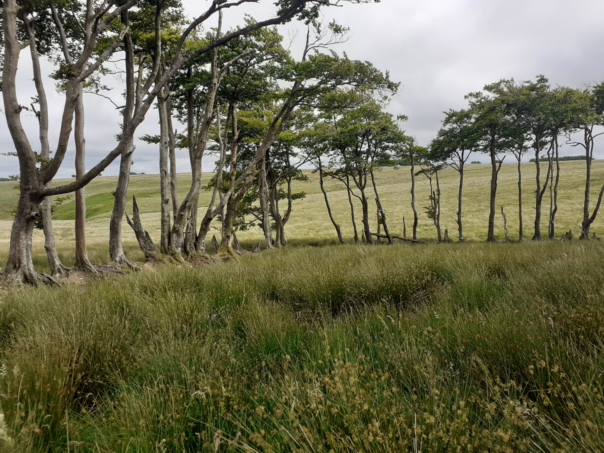 Discover: The Stell - National Parks