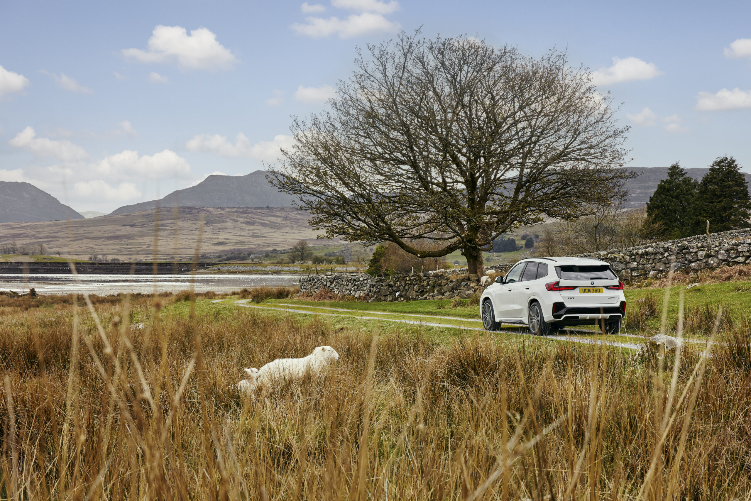 Press Release - RECHARGE IN NATURE - BMW SUPPORTS NEW NATIONAL PARKS ...