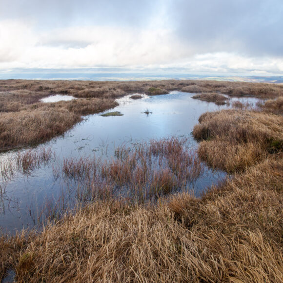 Southwest Peatland Partnership - National Parks