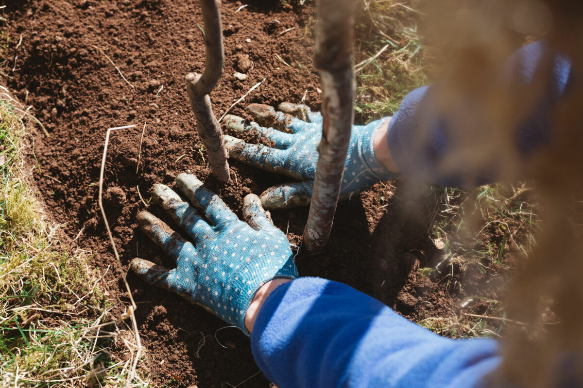 Race To Zero - National Parks