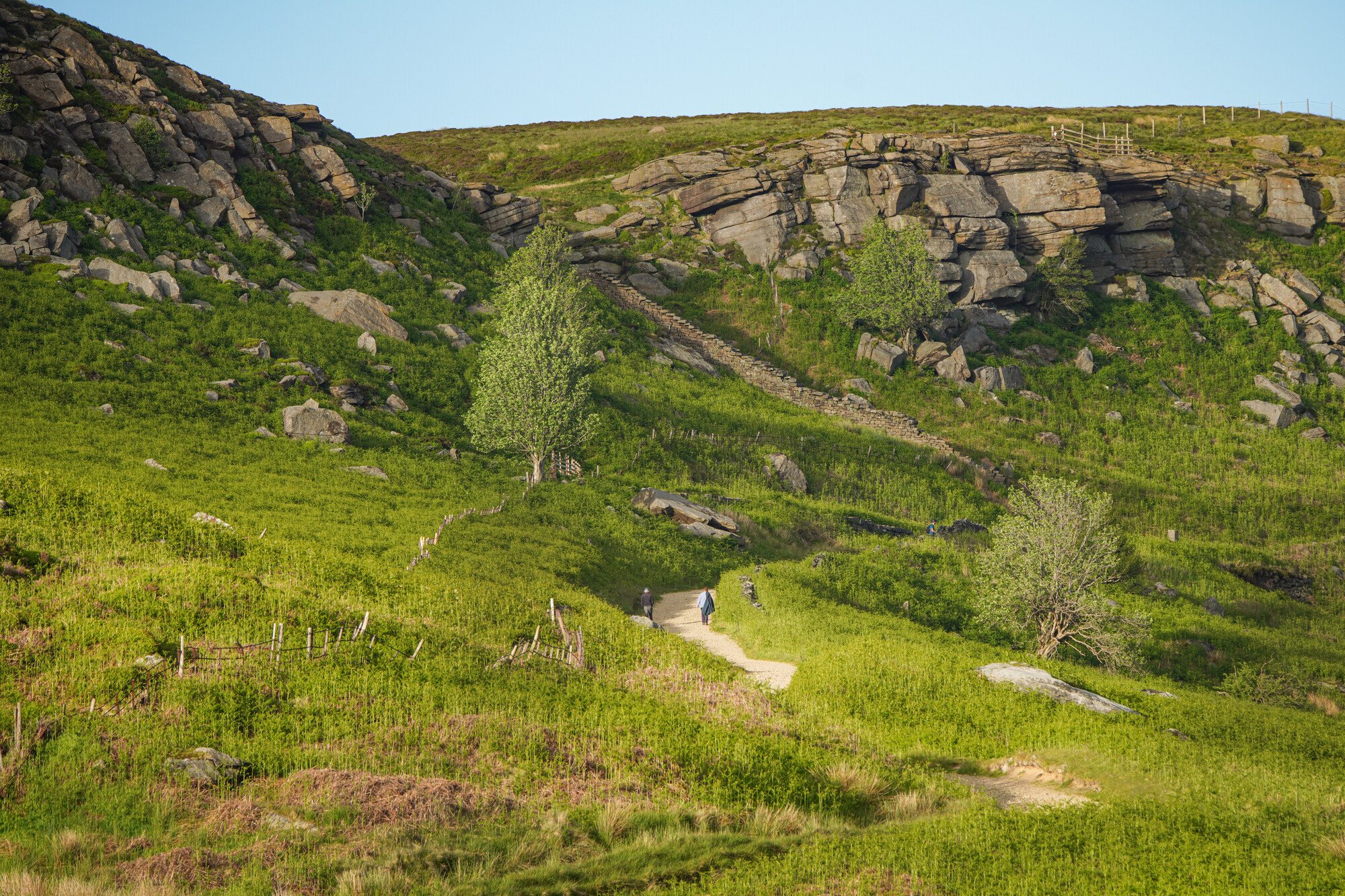 Discover: Warslow Estate - National Parks